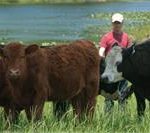 %d7%a4%d7%a8%d7%95%d7%aa-%d7%9e%d7%a8%d7%a2%d7%94-%d7%91%d7%90%d7%a8%d7 ...